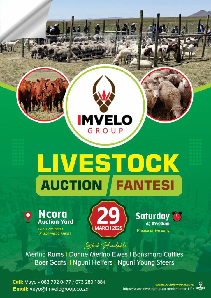 Imvelo Group